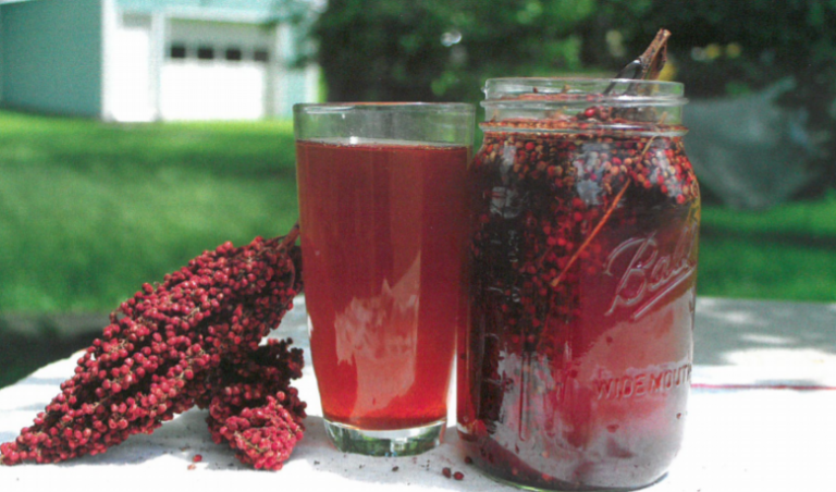 NEW 'SUMAC BERRY ADE' RECIPE ANNOUNCED AS PART OF ‘HONORING YOUR HEALTH ...